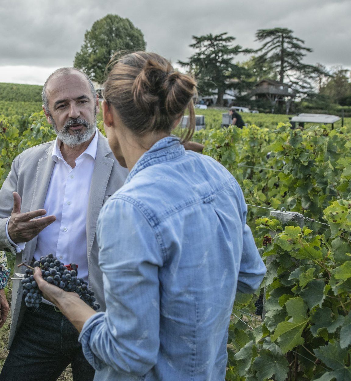 A new chapter - Château Franc Mayne